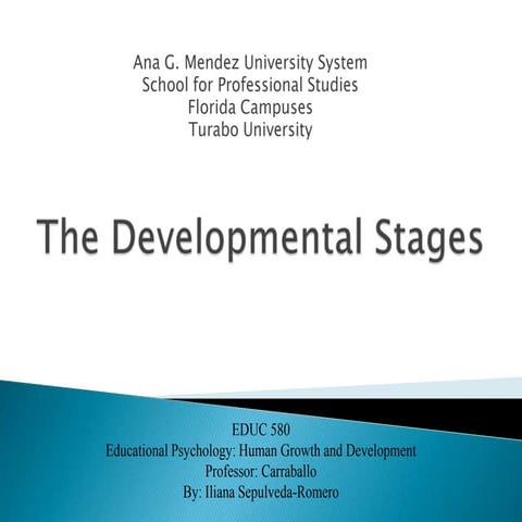 The developmental stages | PPTX