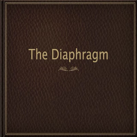 The diaphram | KEY