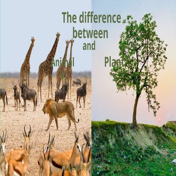 The difference between animals and plants.pptx