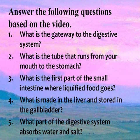 Digestive system Lesson for Grade 6 students.pdf