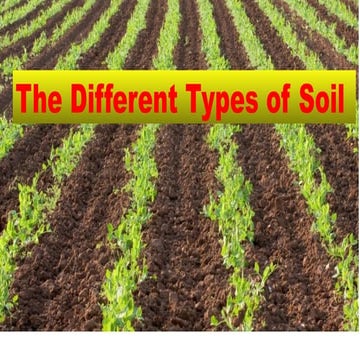 The Different Types of Soil.pptx grade 4 /q1 | PPT