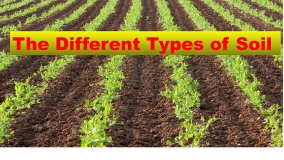 GRADE 4: DIFFERENT TYPES OF SOIL | PPTX