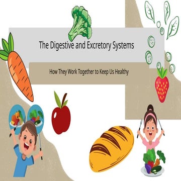 The Digestive and Excretory Systems Powerpoint presentation | PPTX