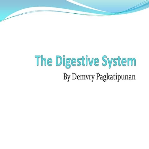 The digestive system | PPT