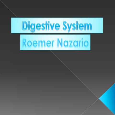 The digestive system | PPT