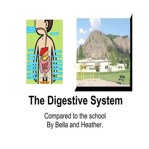 The digestive system | PPT