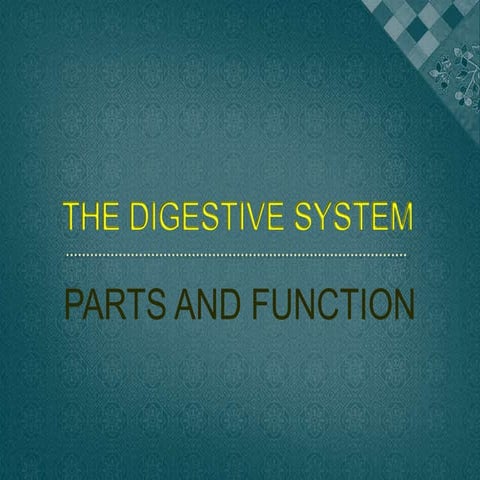 The digestive system | PPTX
