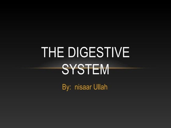 The digestive-system | DOCX | Chemistry | Science