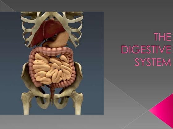 Life cycle of plants | PPTX | Gardening | Home & Garden