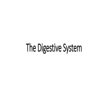 The Digestive System | DOC