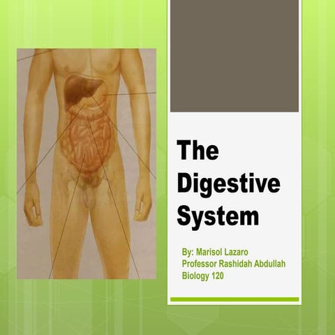 Digestive System with all organs involved in digestion | PPTX