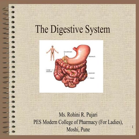 The digestive system | PPT