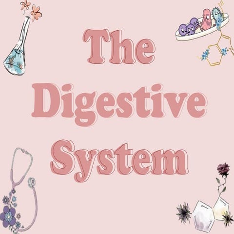 Grade 8 - Digestive System | PPT