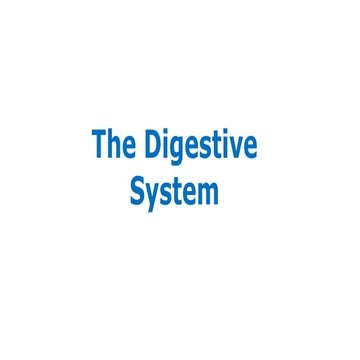 The Digestive System.pptx
