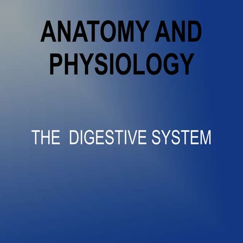 the digestive system. OVERVIEW, ANATOMY AND PHYSIOLOGY | PPT