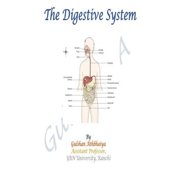 The digestive system, structure, functions and their disorders.pdf