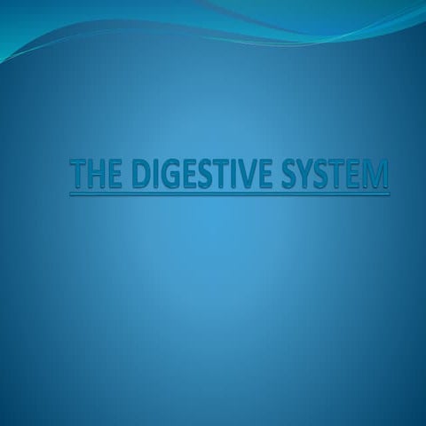 The digestive system | PPT