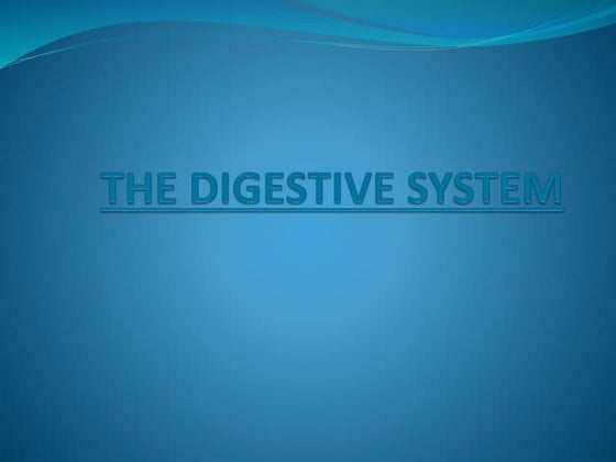 Digestion system.docx