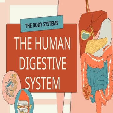 digestive system grade 5 quarter 3 week five | PPTX