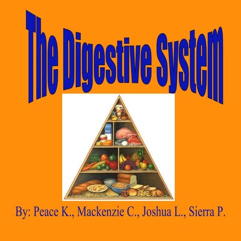 report on the digestive system | PDF