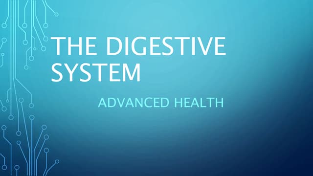 Digestive system - CLASS V | PPTX | Biological Sciences | Science