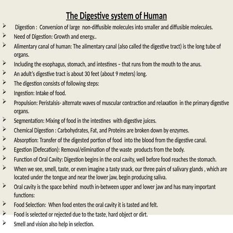 The Digestive system of Human.pptx presentation | PPTX