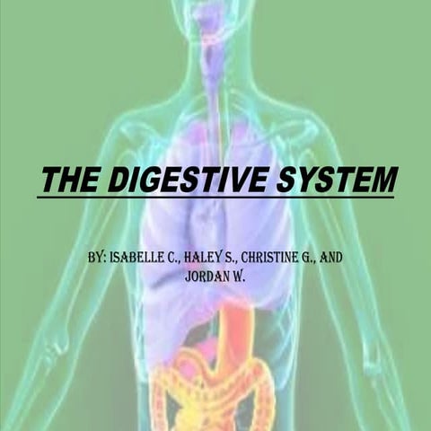 The digestive system p3 | PPTX