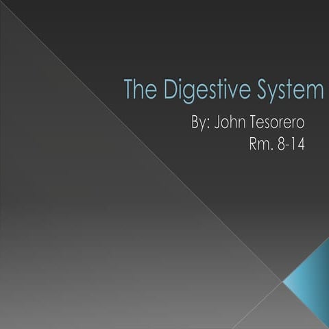 The Digestive System | PPTX