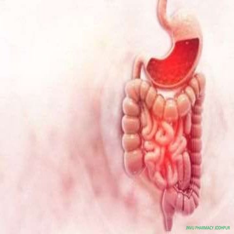mechanism of HCl production in stomach.pptx