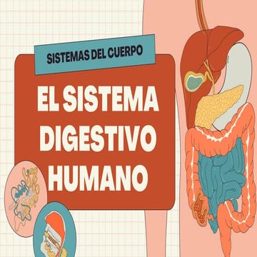 932379480-Digestive-System-Grade-5-power-point-presentation-for-grade-5 ...