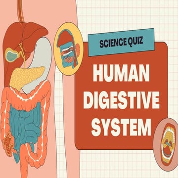 The Digestive System Science Educational Quiz Presentation in Dark ...