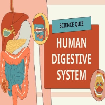 The Digestive System Science Educational Quiz Presentation in Dark ...