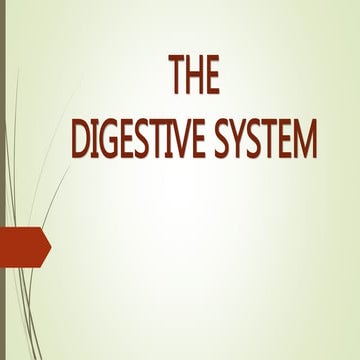 The Human Digestive System | PPTX