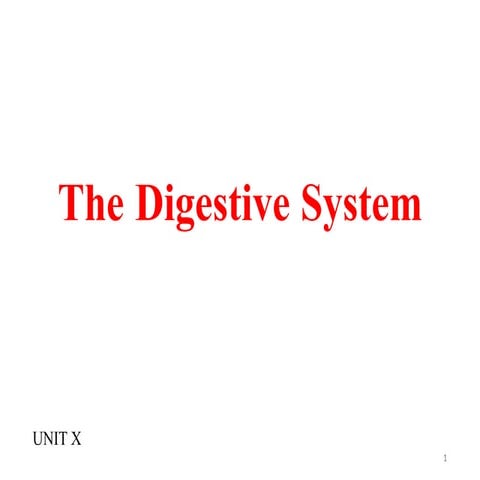 ANATOMY AND PHYSIOLOGY OF The Digestive System UNIT 10.pptx