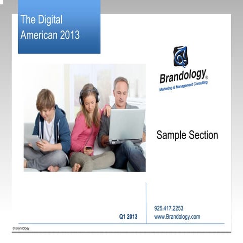 The Digital American 2013: How Consumers Use Digital and Social Media ...