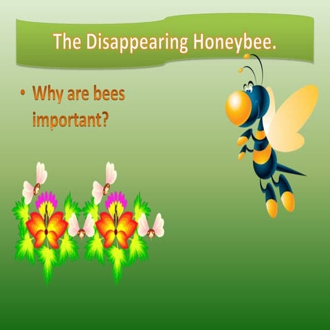 The Disappearing Honeybee | PPTX