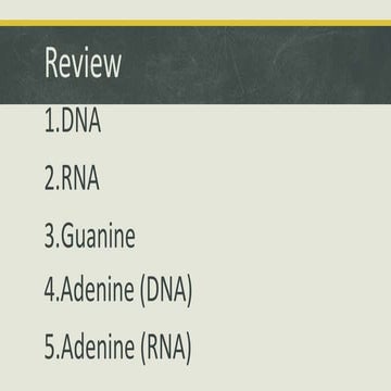 The Dna Pptx