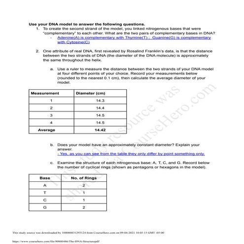 The dna structure.pdf