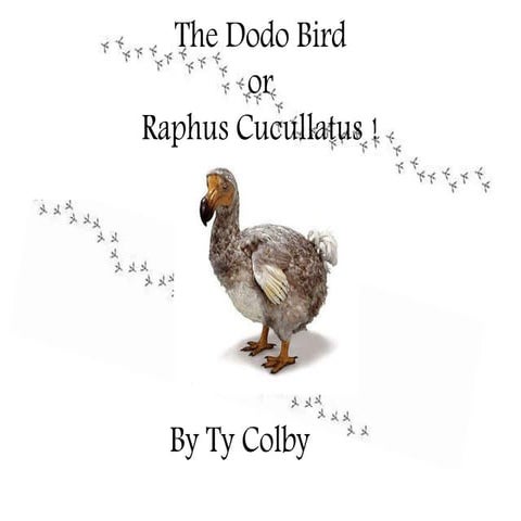 The Dodo Bird | PPTX