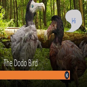 The Dodo Bird | PPTX