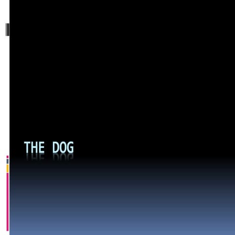 The dog2 | PPT