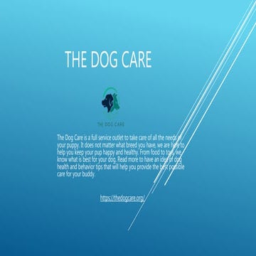 The dog care | PPTX