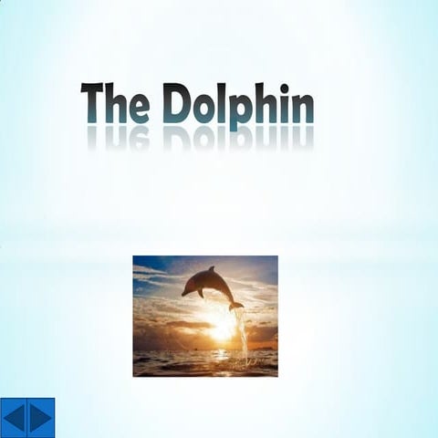 The dolphin | PPTX