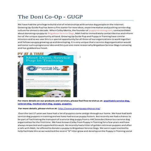 The doni co op | DOCX