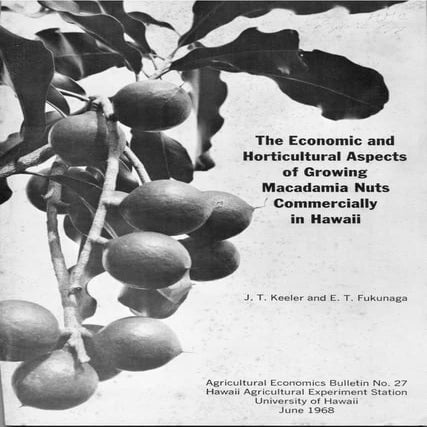 The economic and horticultural aspects of growing macadamia nuts ...