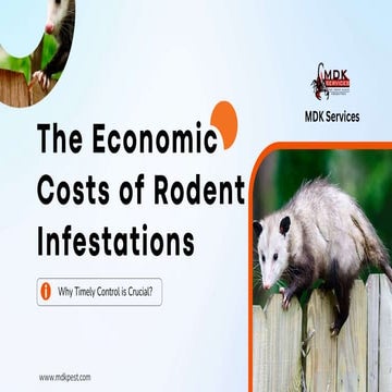 The Economic Costs of Rodent Infestations | PPT