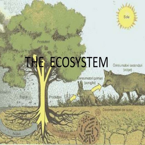 The ecosystem 3_f | PPTX