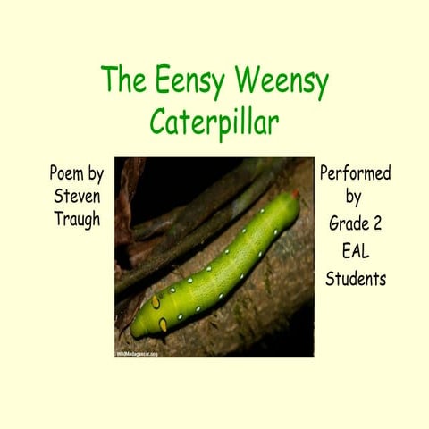 The Eensy Weensy Caterpillar | PPT