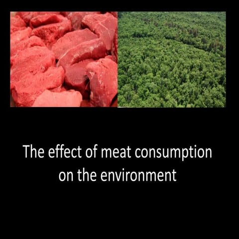 The effect of meat consumption on the environment | PPTX