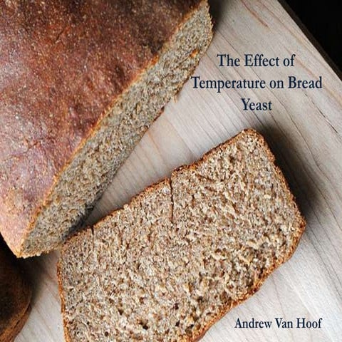 The Effect of Temperature on Bread Yeast | PPTX